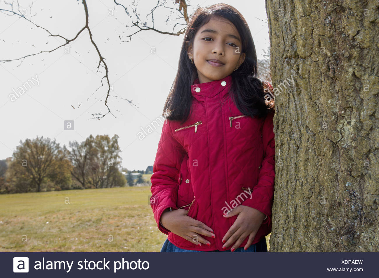 The Leaning Tree Trunk High Resolution Stock Photography and Images - Alamy