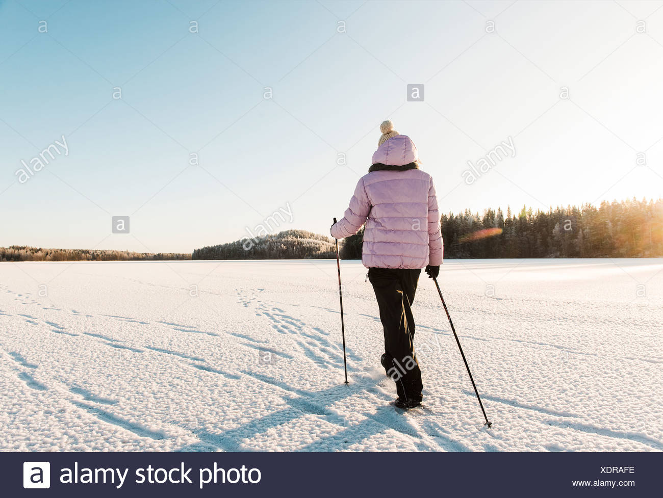 Woman Nordic Walking Snow High Resolution Stock Photography and Images ...