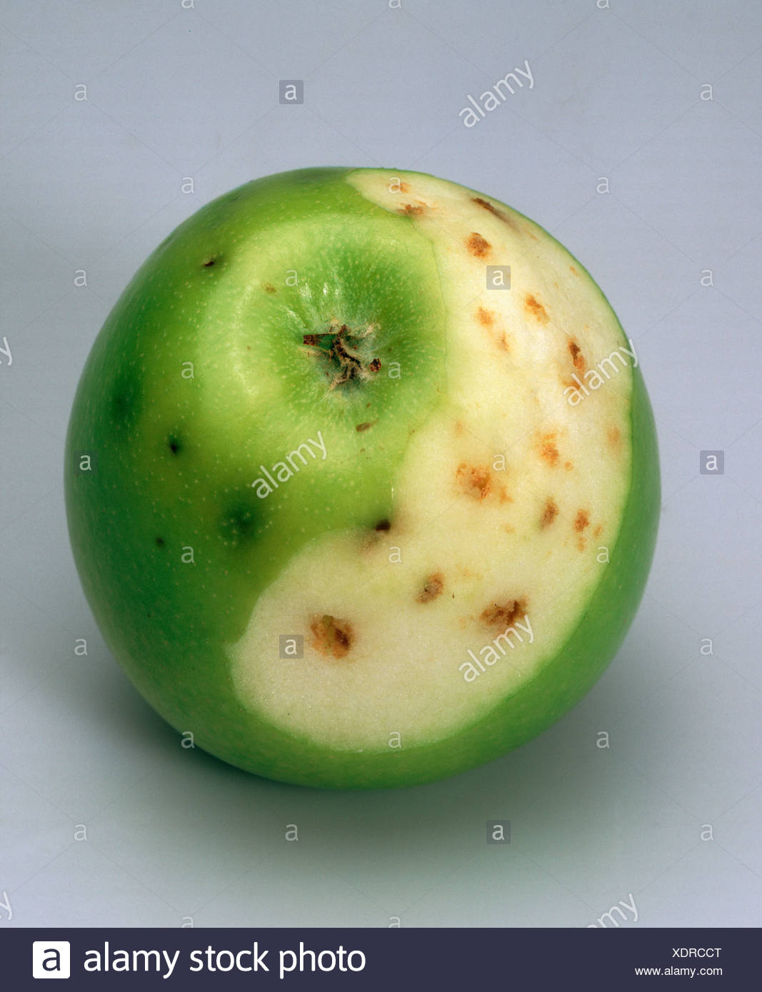 Apple Bitter Pit High Resolution Stock Photography and Images - Alamy