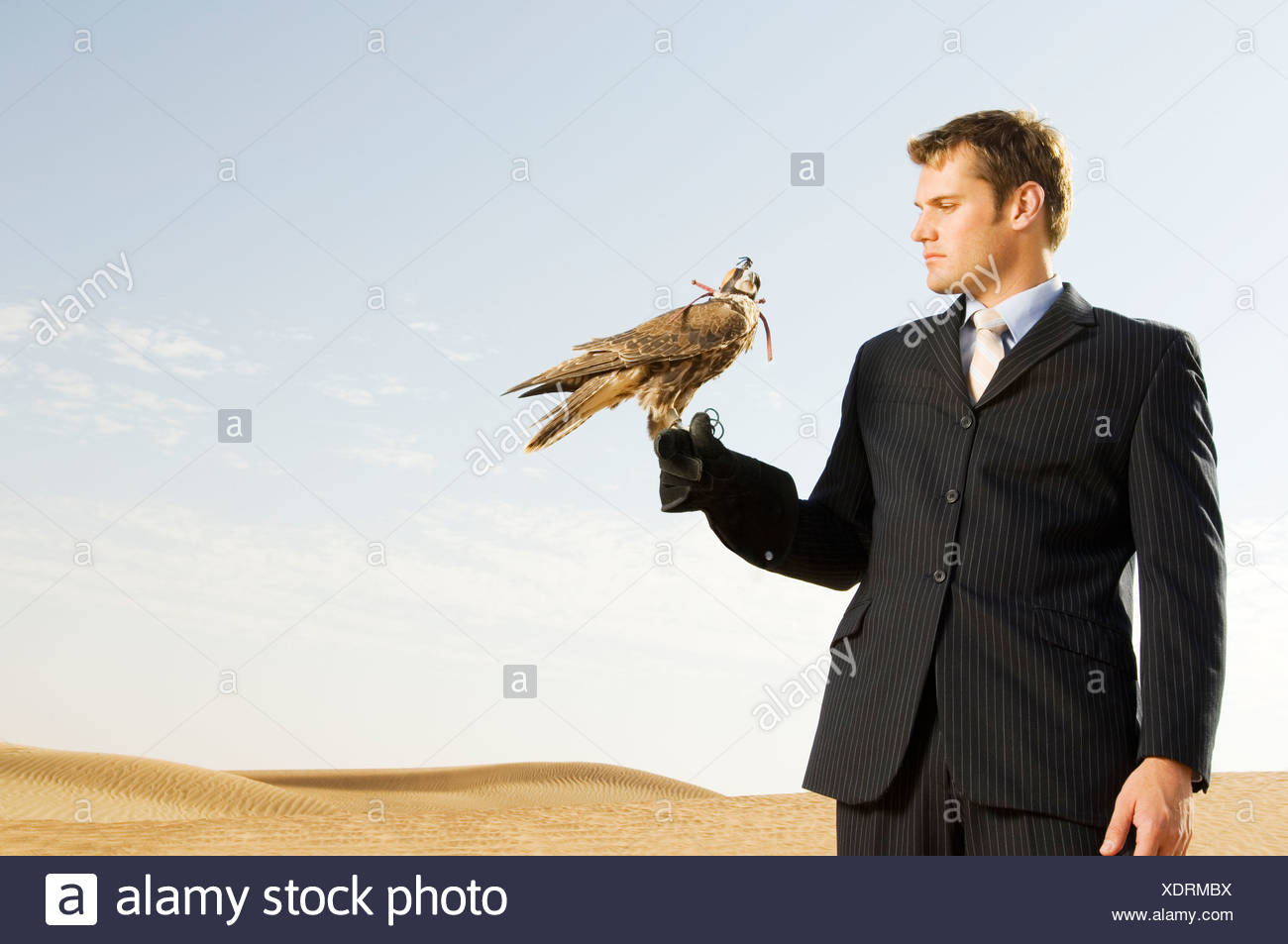 Hawk Man Stock Photos & Hawk Man Stock Images - Alamy