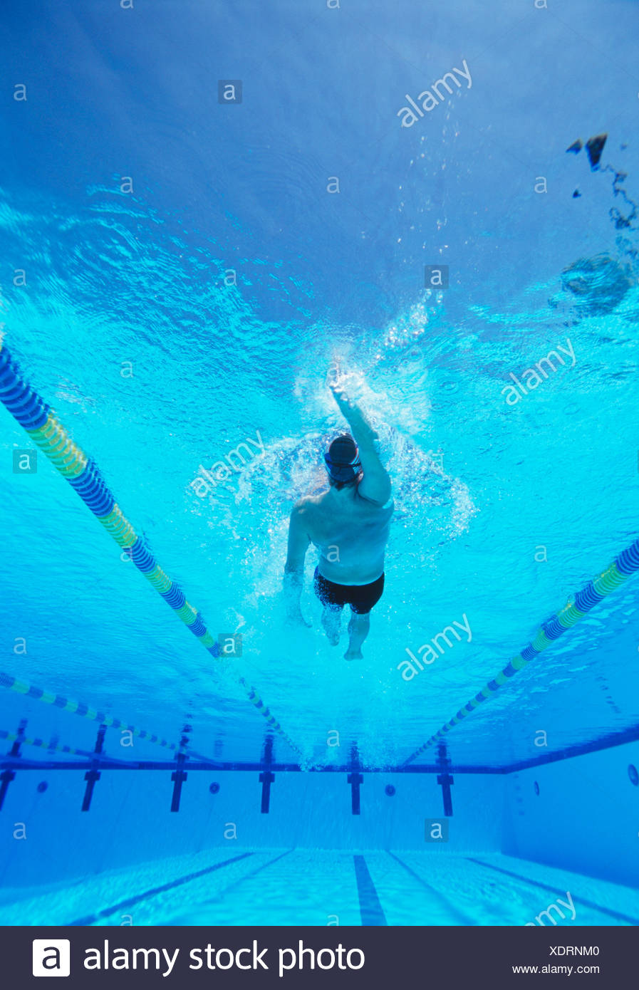 Backstroke Swimmer High Resolution Stock Photography and Images - Alamy