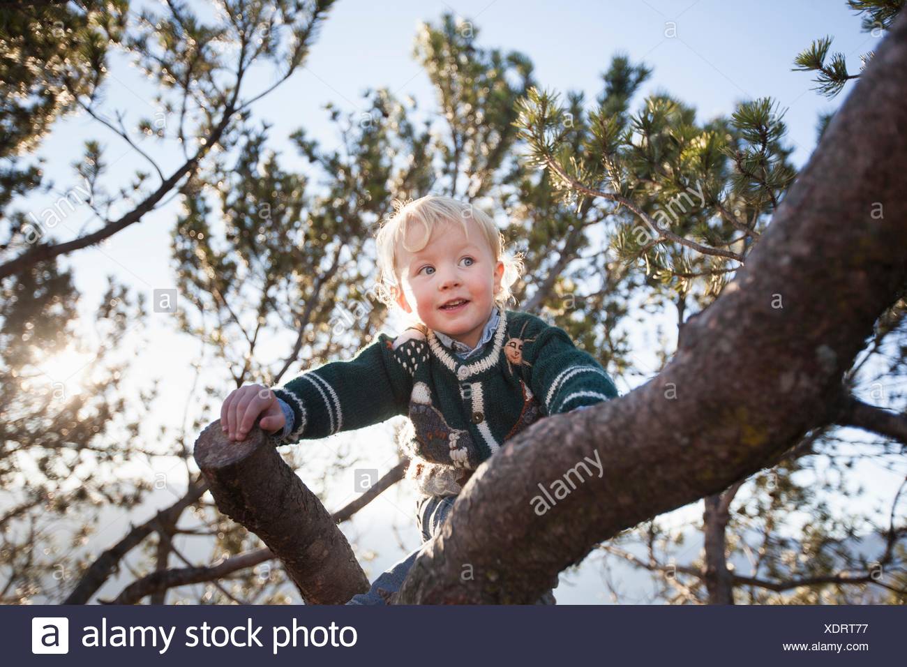 Female Independence High Resolution Stock Photography and Images - Alamy