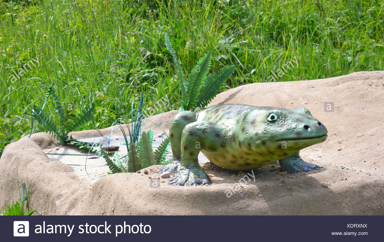 Ichthyostega High Resolution Stock Photography and Images - Alamy