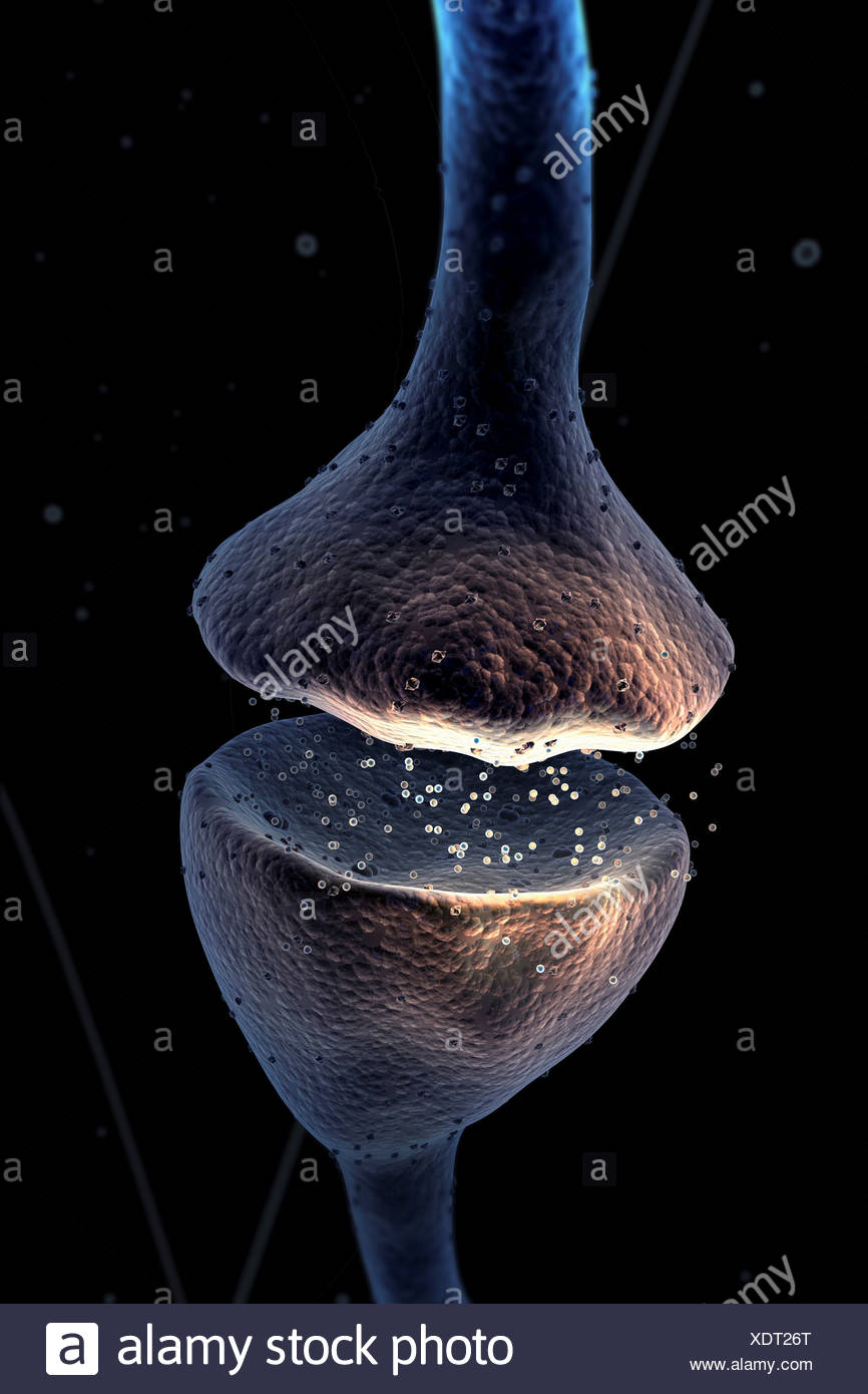 Microscopic Styled Visualization Synapse Stock Photos & Microscopic ...