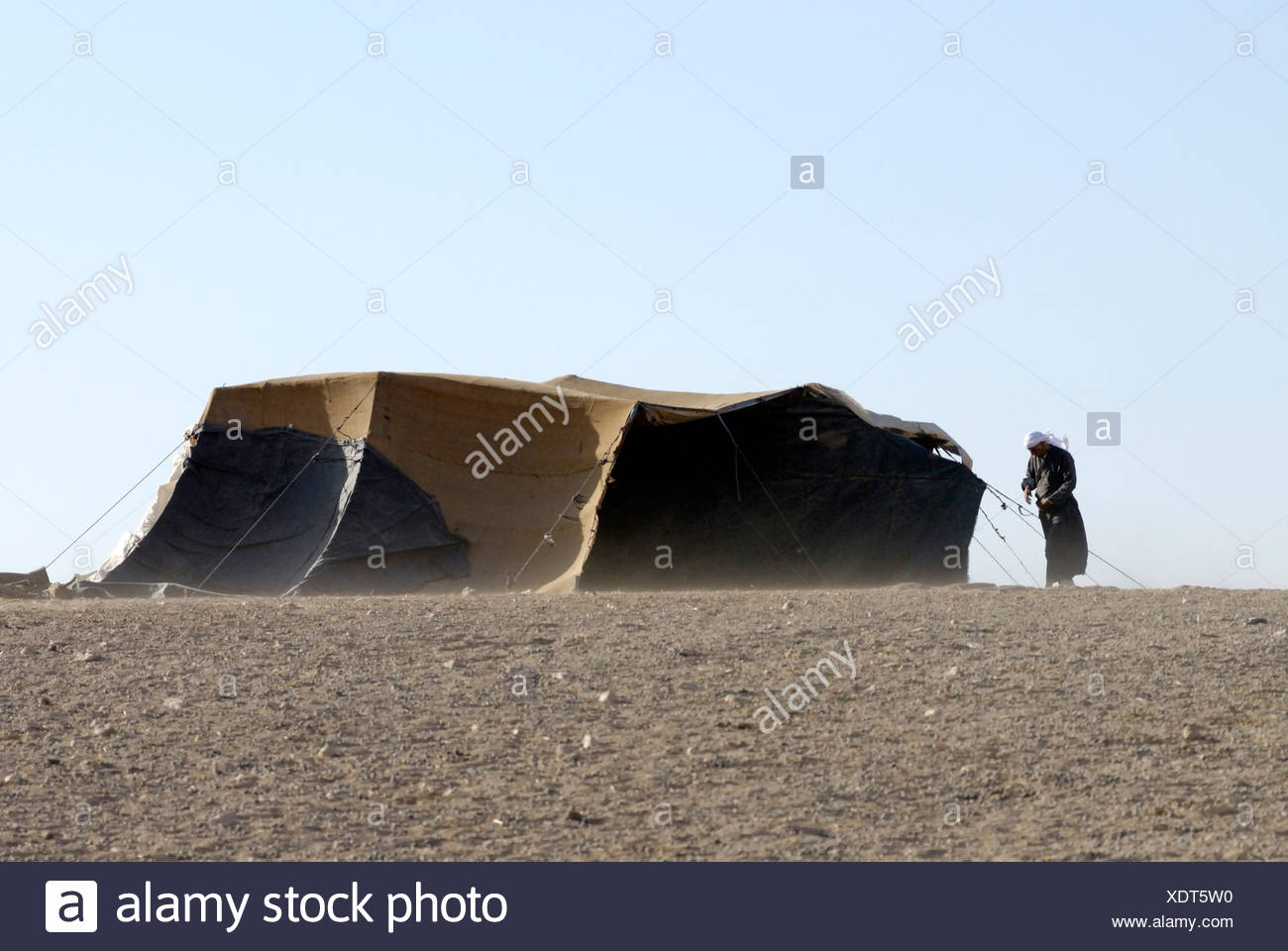 Bedouin Man Tent High Resolution Stock Photography and Images - Alamy
