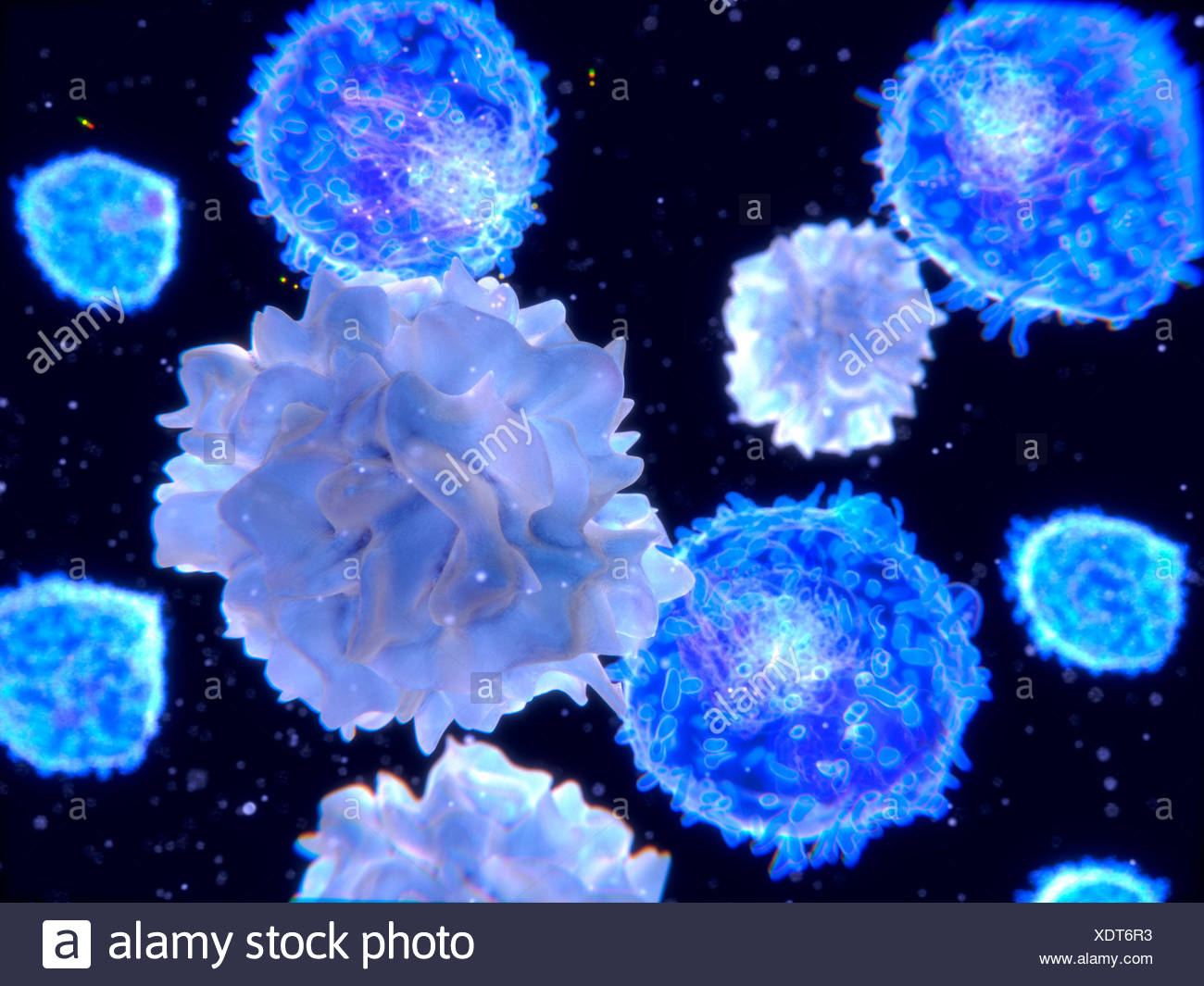 White Blood Cell Foreign Cells High Resolution Stock Photography and ...