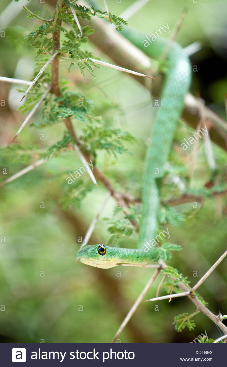 Battersbys High Resolution Stock Photography and Images - Alamy