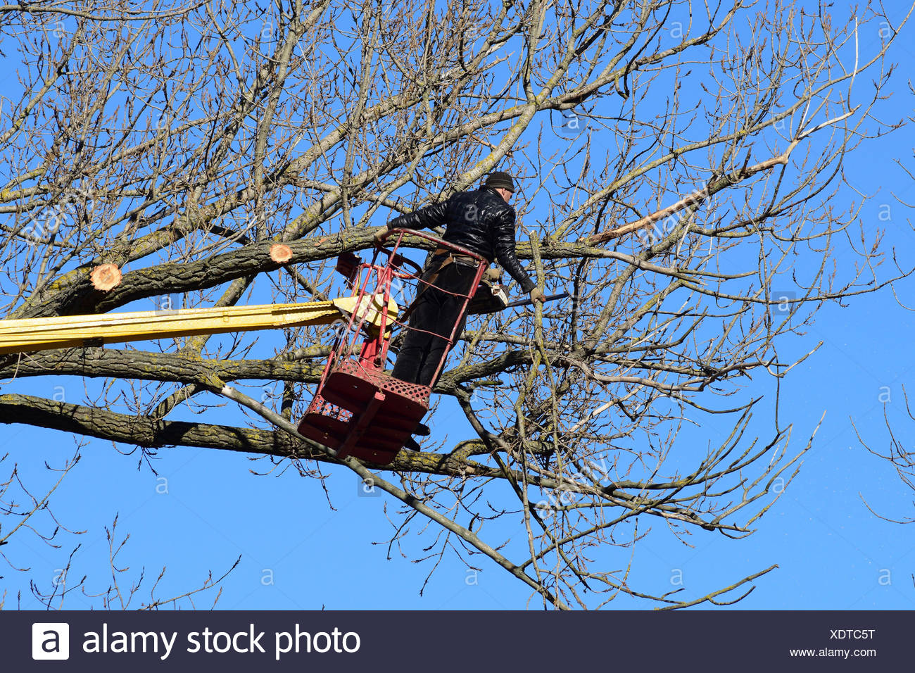 Trimming Tree Lift Arm High Resolution Stock Photography and Images - Alamy