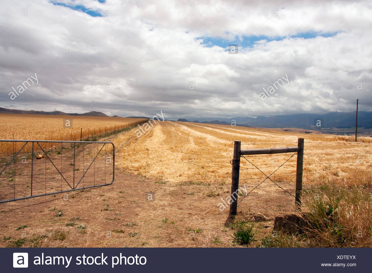 Open Field Gate High Resolution Stock Photography and Images - Alamy