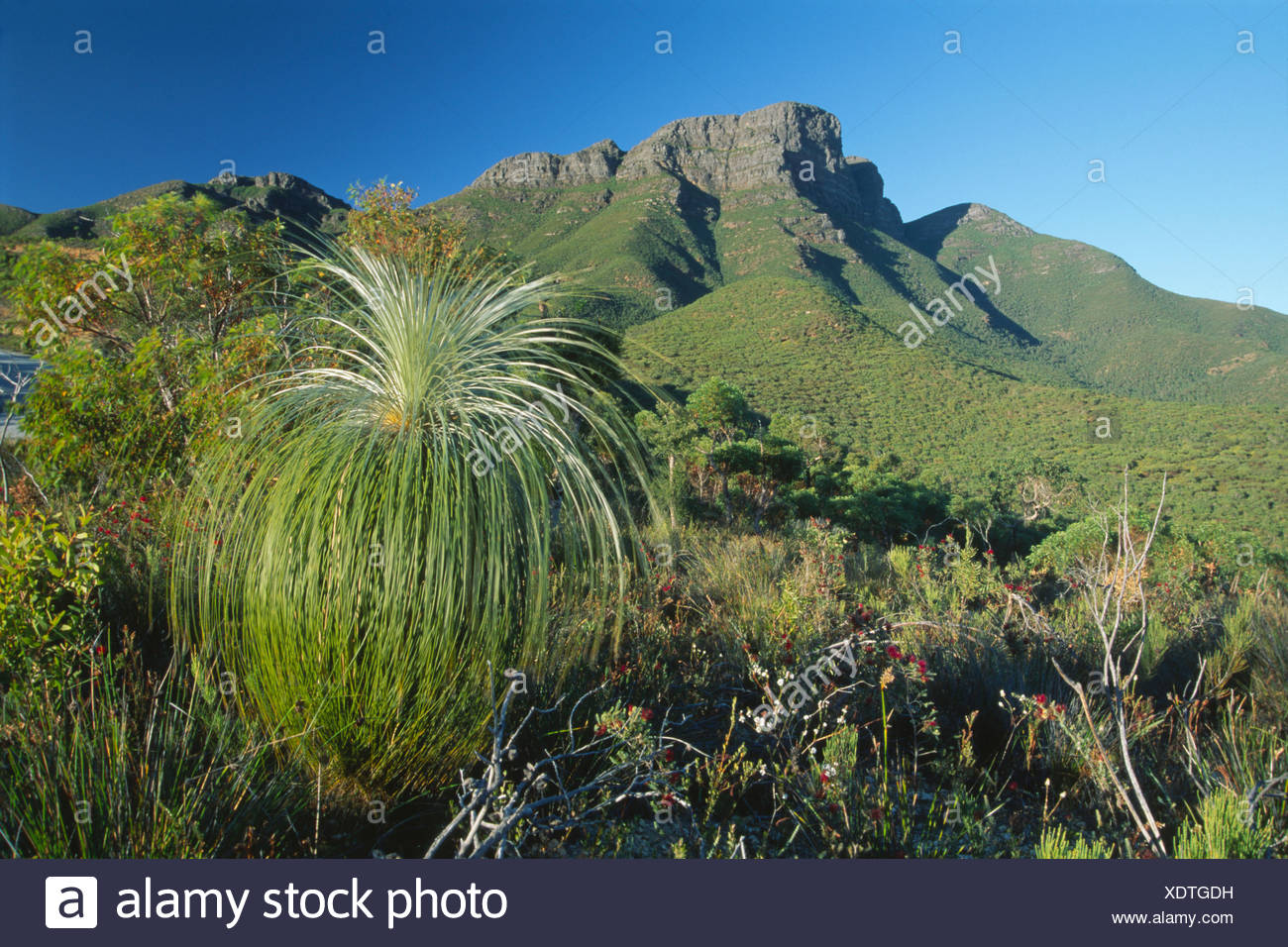 Stirling Ranges Western Australia High Resolution Stock Photography and ...