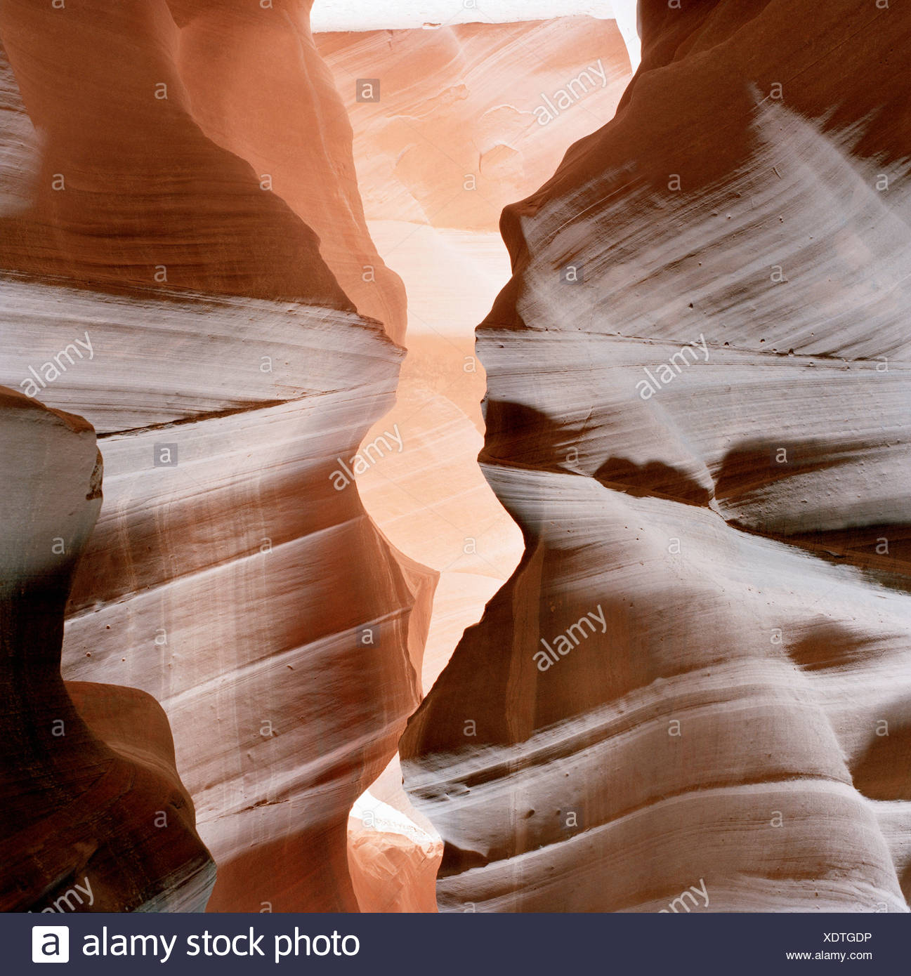 Crevice High Resolution Stock Photography and Images - Alamy