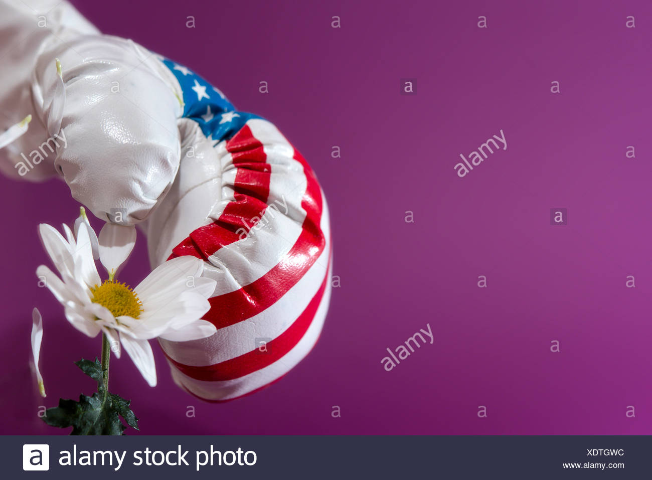 Person Boxing High Resolution Stock Photography and Images - Alamy