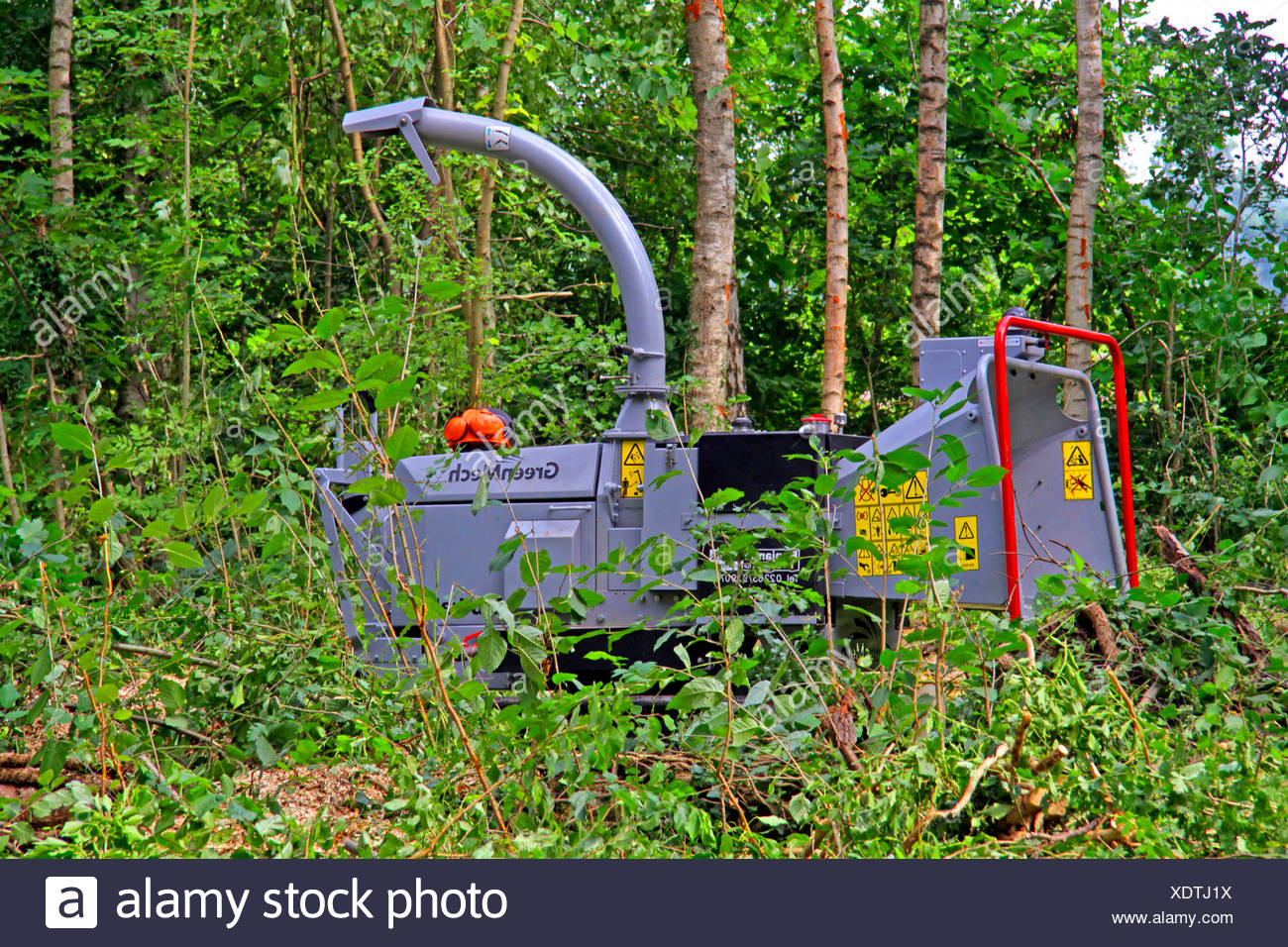 Chipper Stock Photos & Chipper Stock Images - Alamy
