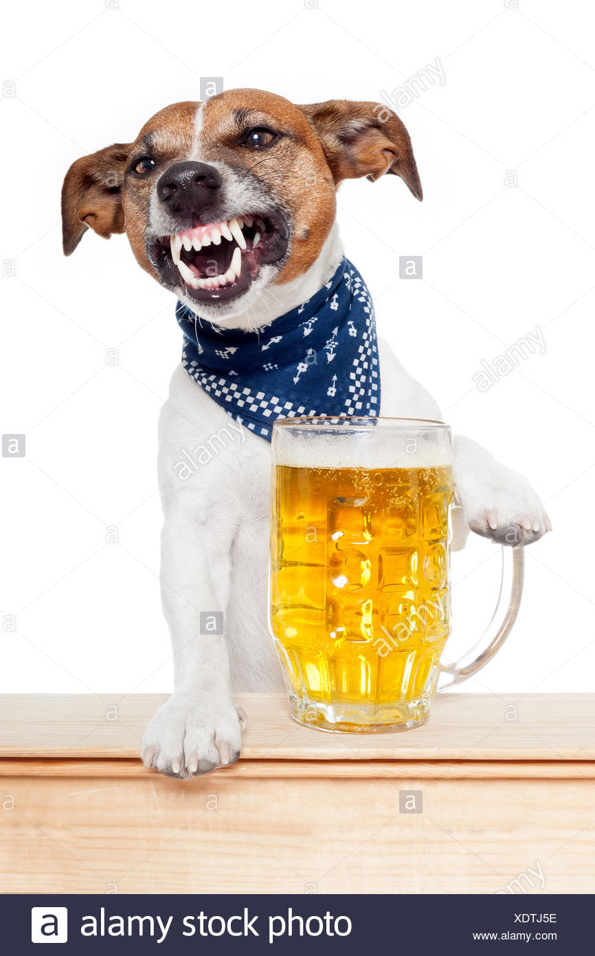 Doggy Beer High Resolution Stock Photography and Images - Alamy