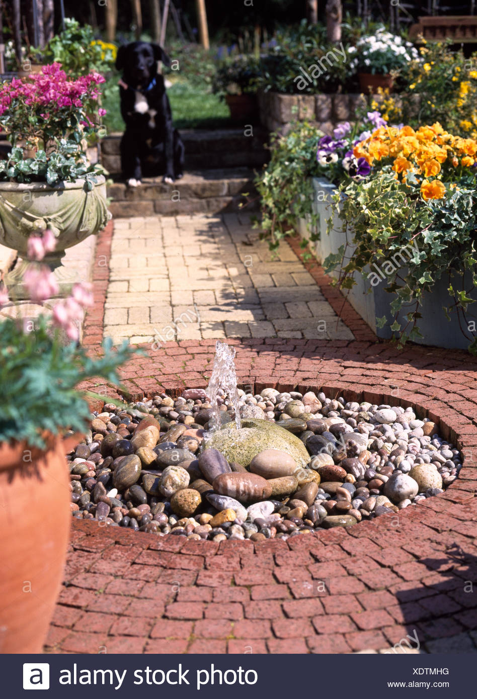Pebble Pool High Resolution Stock Photography and Images - Alamy