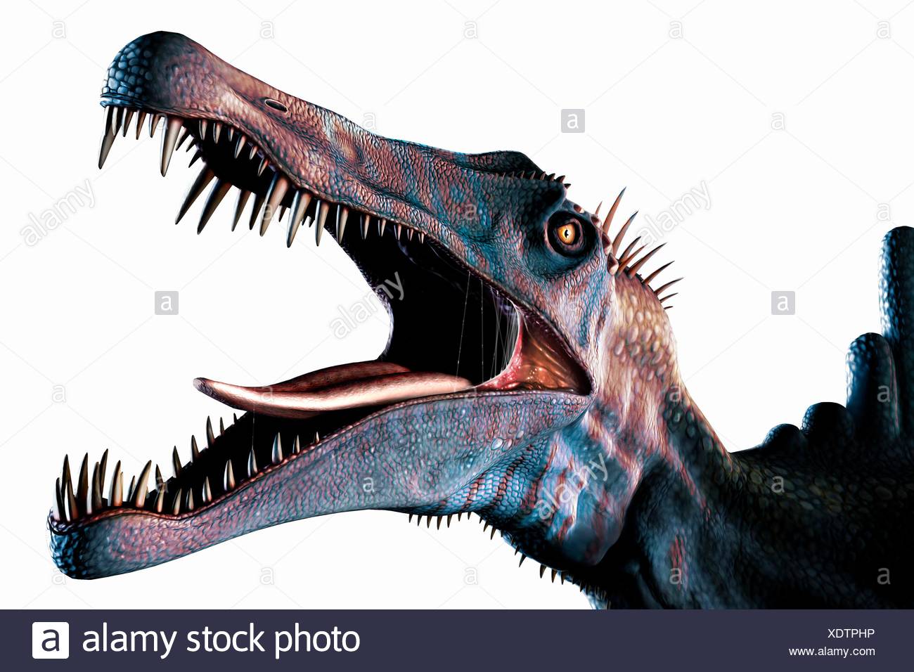 Spinosaurus Spine Lizard High Resolution Stock Photography and Images ...