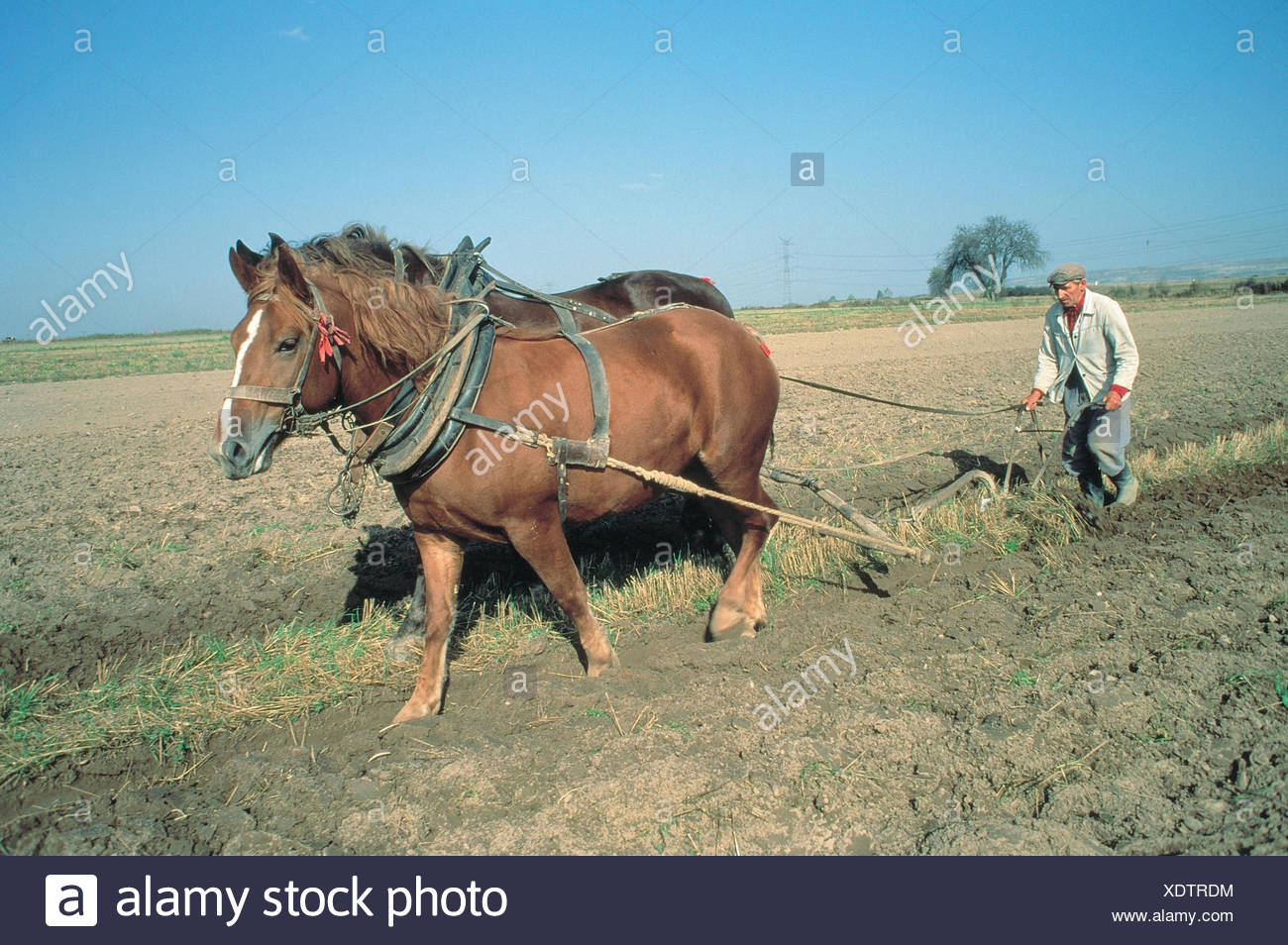 Farmer With Plough High Resolution Stock Photography and Images - Alamy
