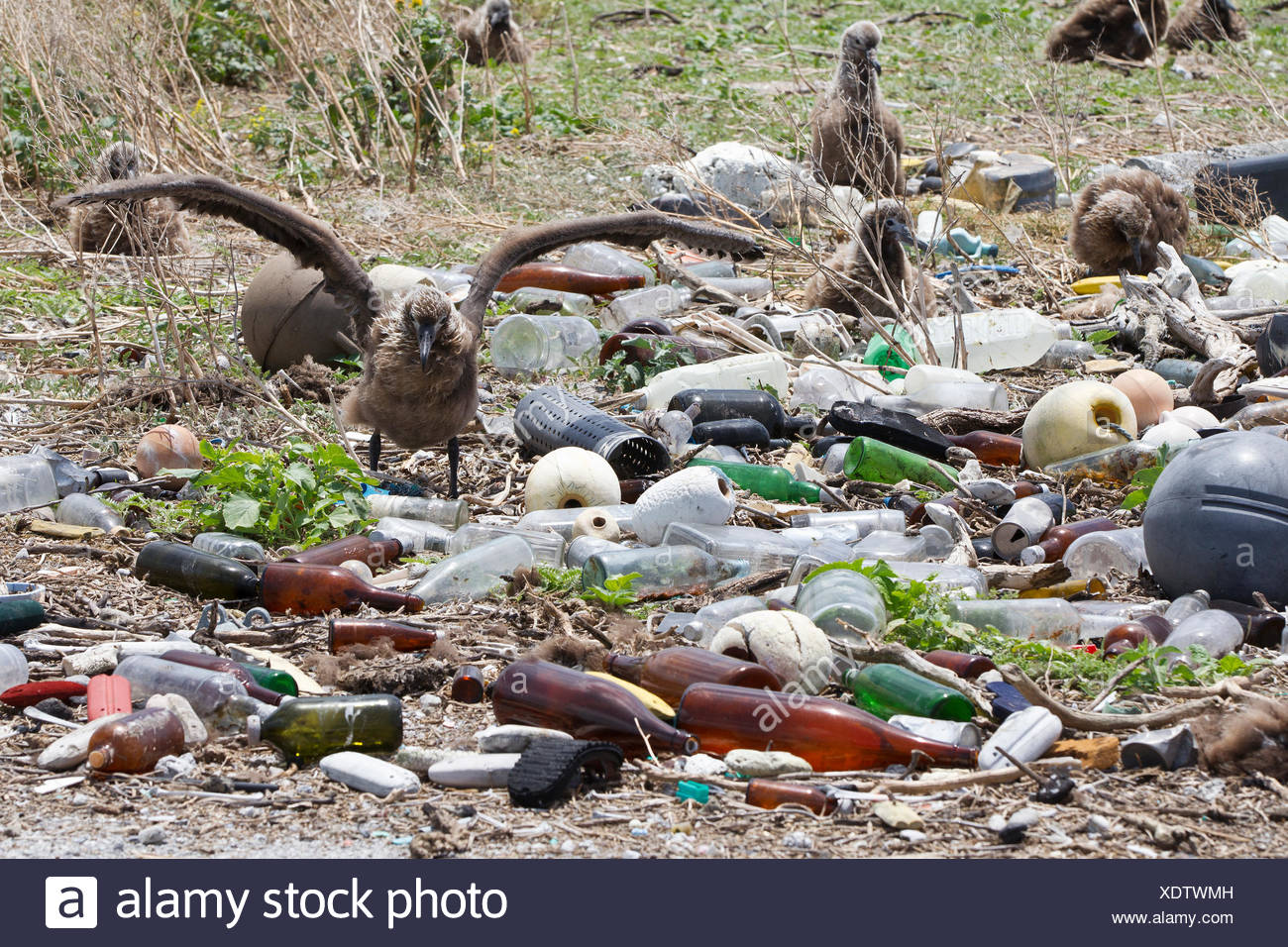 Garbage Island High Resolution Stock Photography and Images - Alamy
