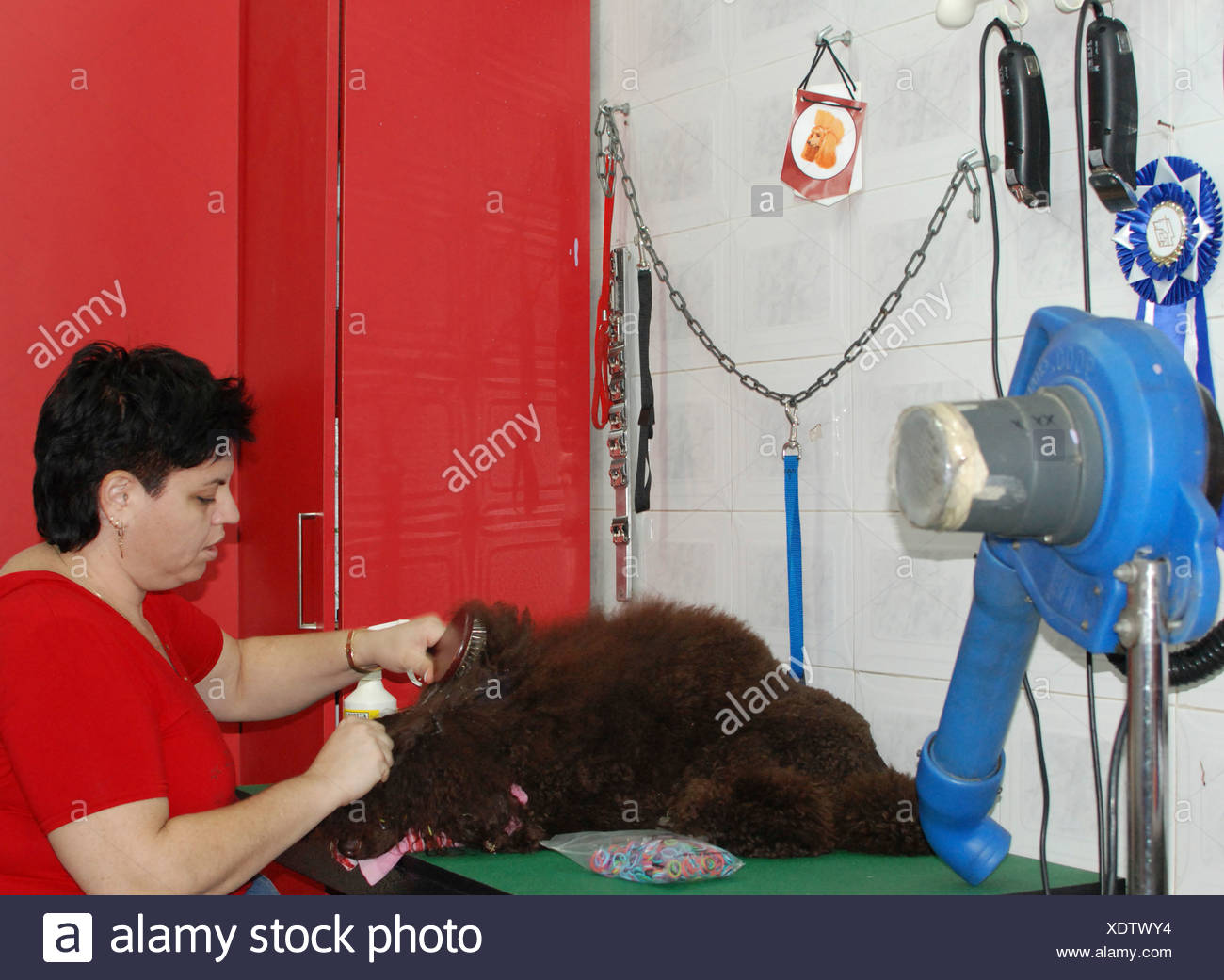 Groom Parlour High Resolution Stock Photography and Images - Alamy