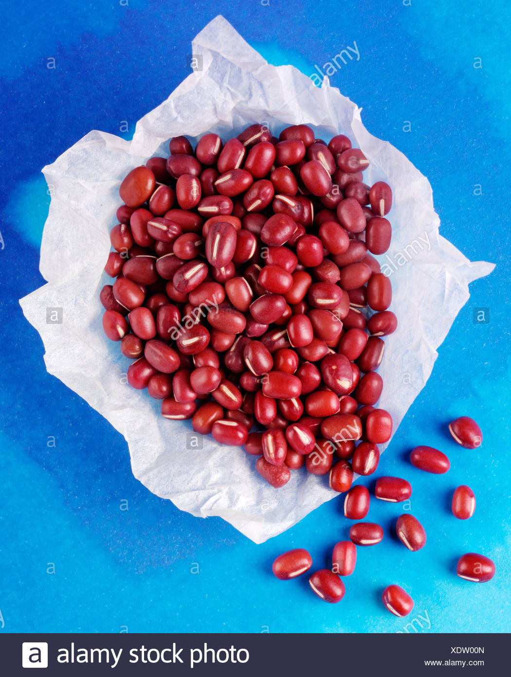 Shellouts High Resolution Stock Photography and Images - Alamy