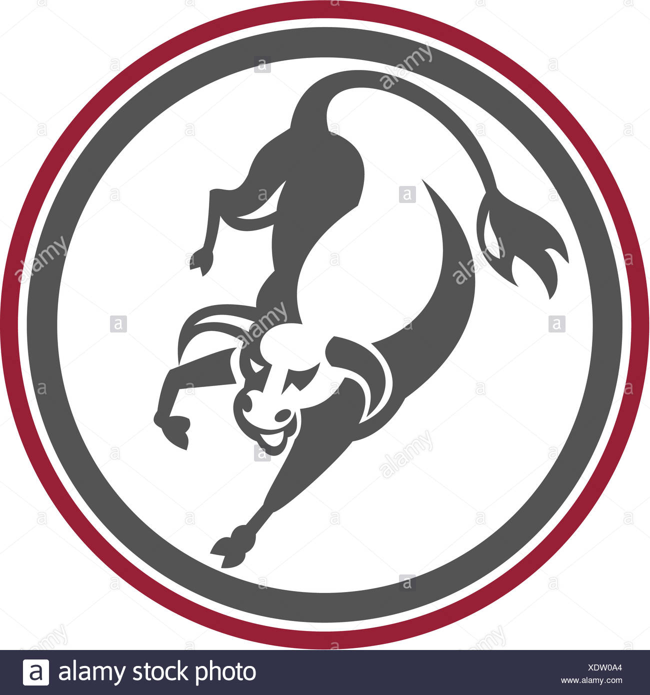 Bull Angry Charging Stock Photos & Bull Angry Charging Stock Images - Alamy