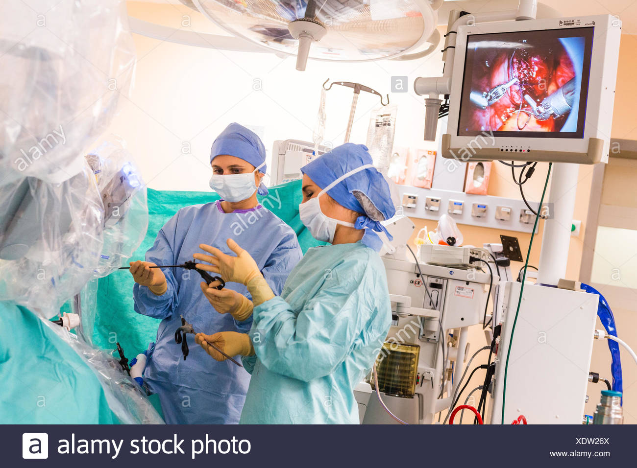 Uterus Fibroma High Resolution Stock Photography and Images - Alamy