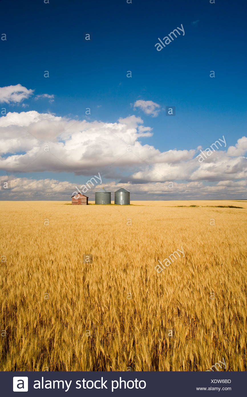 Image Field High Resolution Stock Photography and Images - Alamy