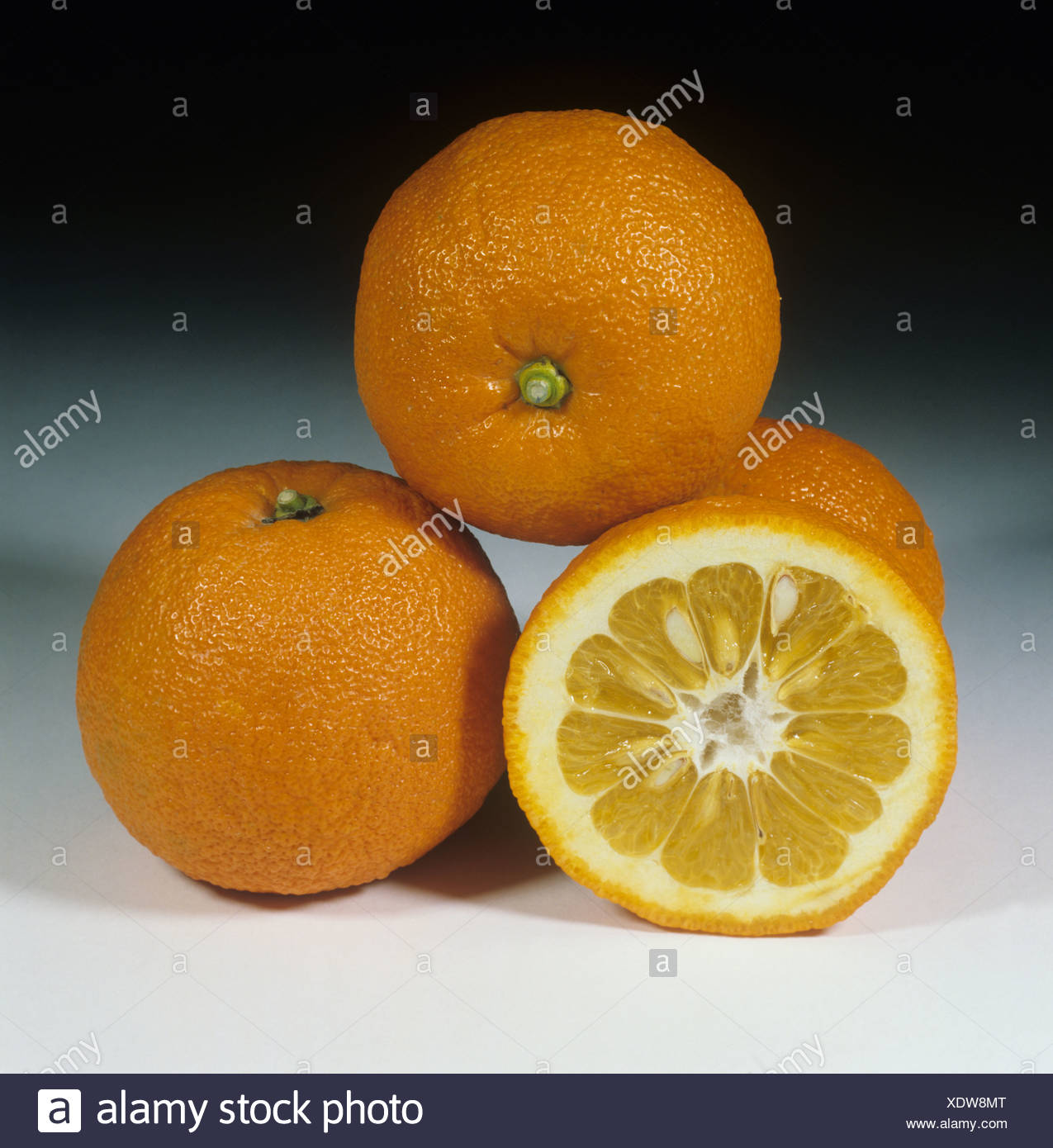 Citrus Aurantium Tree High Resolution Stock Photography and Images - Alamy