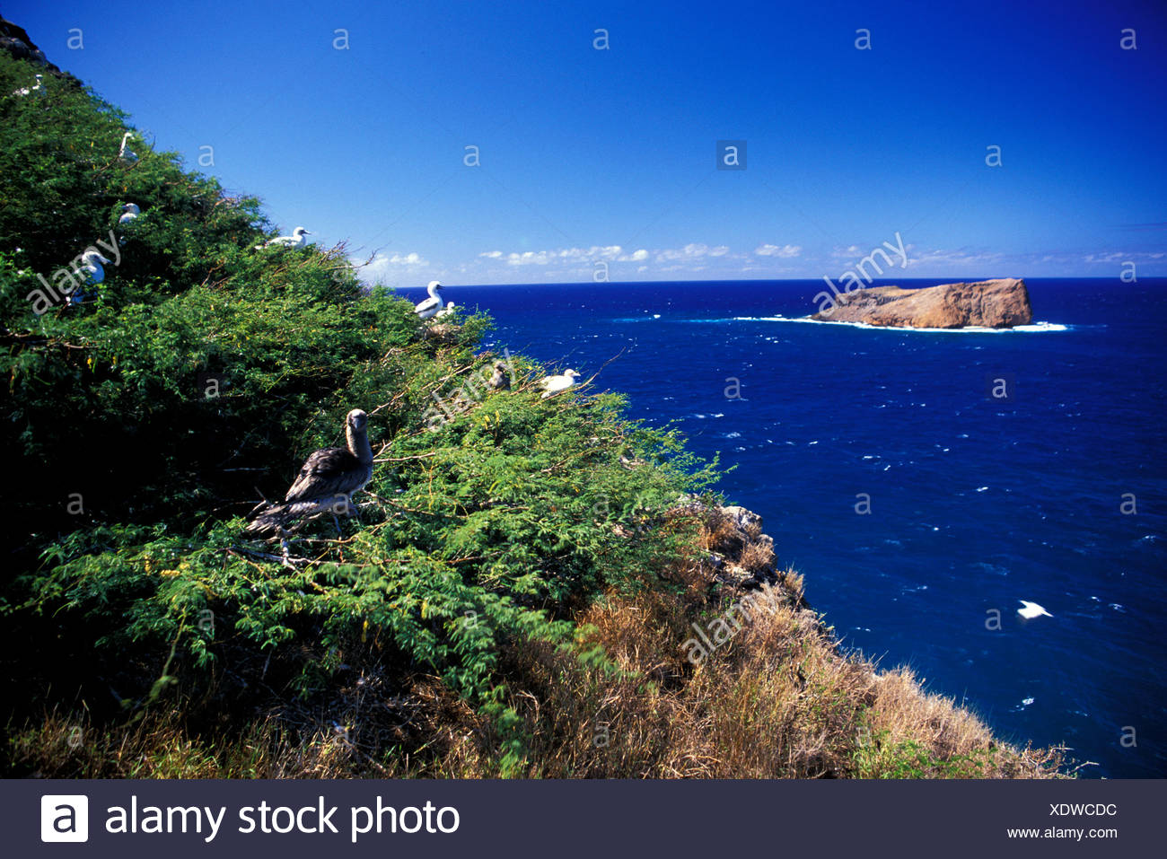 Ulupau High Resolution Stock Photography and Images - Alamy