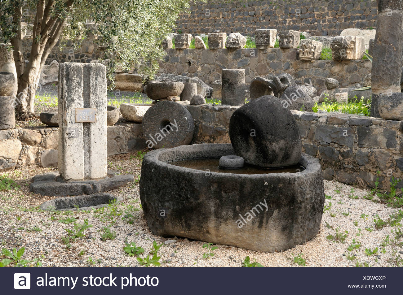 Ancient Capernaum Excavations High Resolution Stock Photography and ...