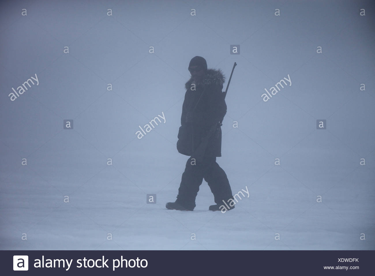 Polar Guard High Resolution Stock Photography and Images - Alamy