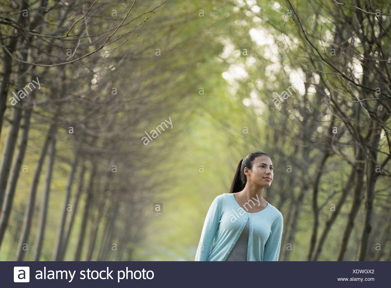 Between Two Trees High Resolution Stock Photography and Images - Alamy