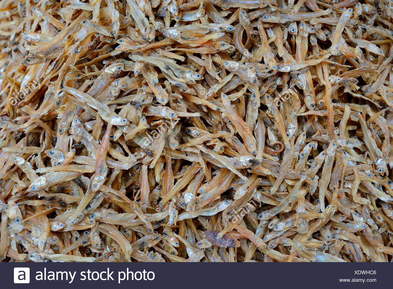 Bags Of Dried Fish High Resolution Stock Photography and Images - Alamy
