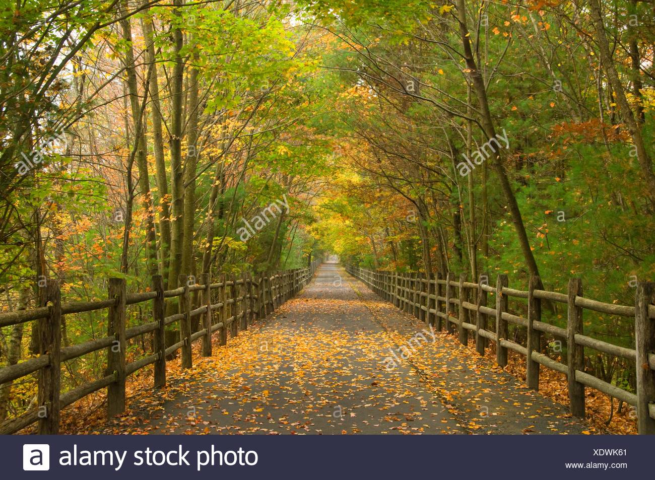 Farmington Canal Heritage Trail High Resolution Stock Photography and ...