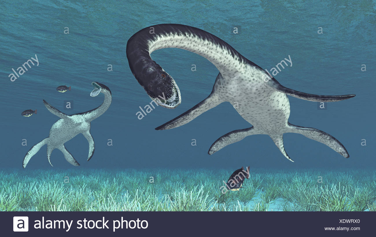 Plesiosaurus Dinosaur High Resolution Stock Photography and Images - Alamy