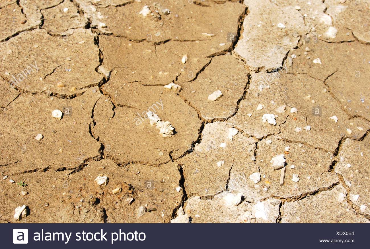 Rille High Resolution Stock Photography and Images - Alamy