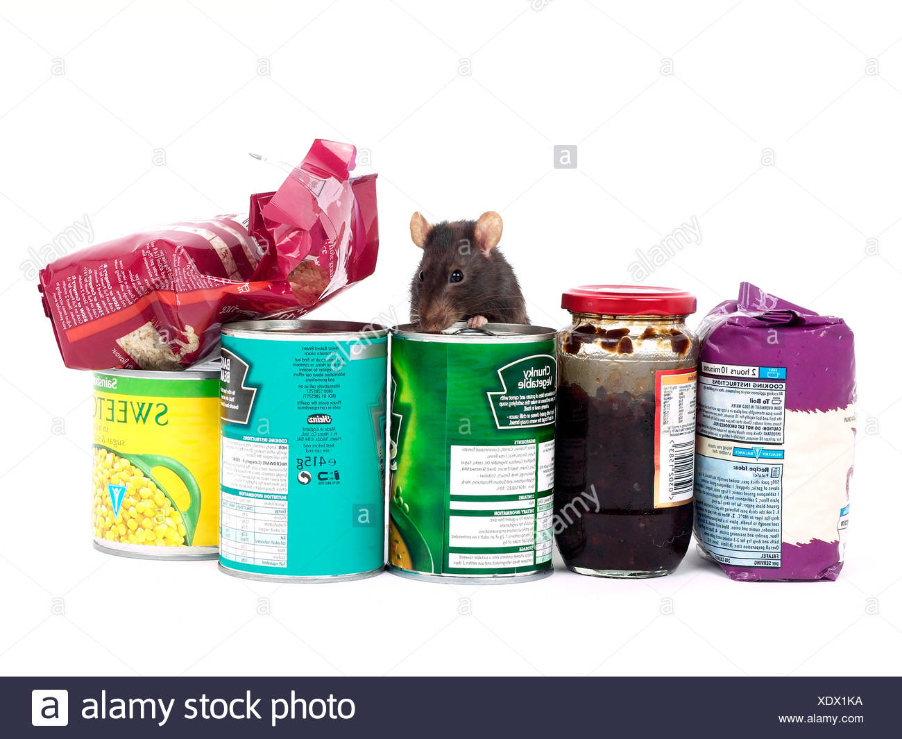 See Food High Resolution Stock Photography and Images - Alamy