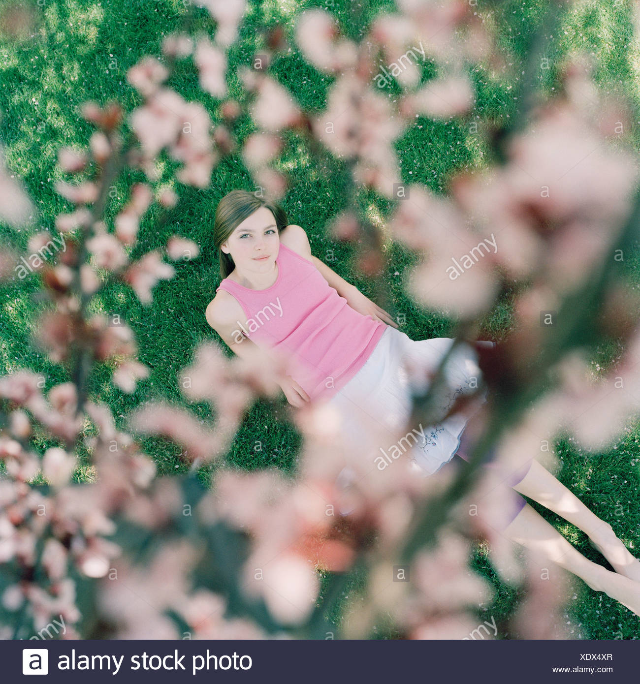 Lying Under Tree Stock Photos & Lying Under Tree Stock Images - Alamy