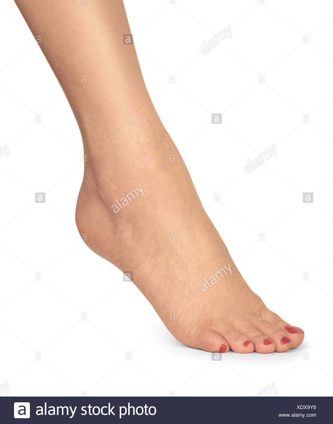 Instep Arch High Resolution Stock Photography and Images - Alamy