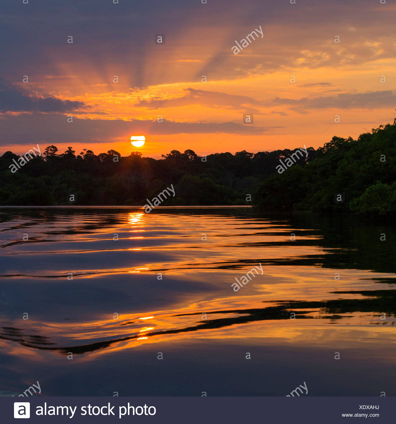 Rio Amazonas High Resolution Stock Photography and Images - Alamy