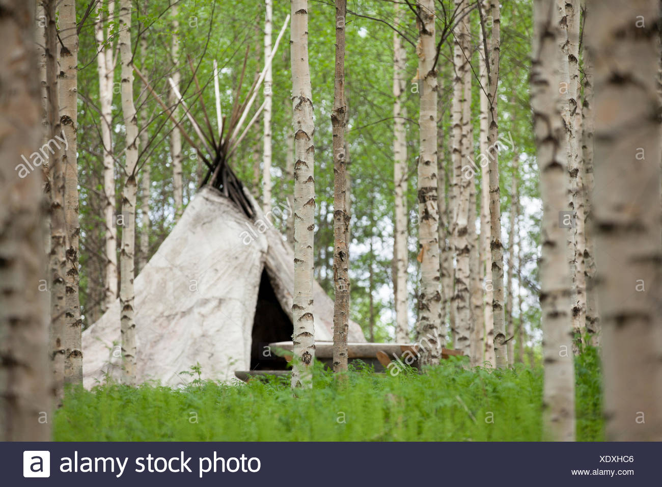 Saami Tradition High Resolution Stock Photography and Images - Alamy