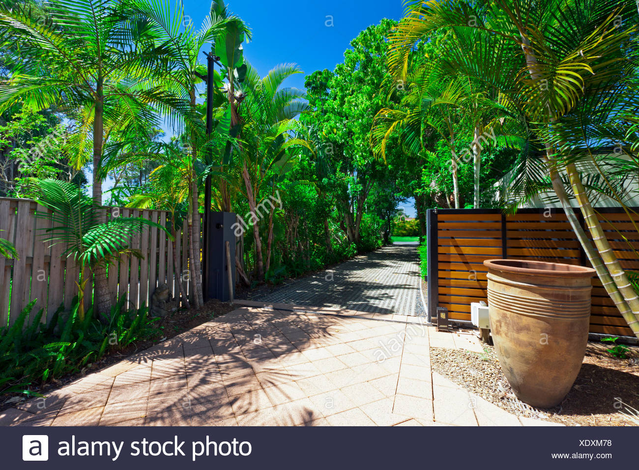 Driveway Palm Tree High Resolution Stock Photography and Images - Alamy