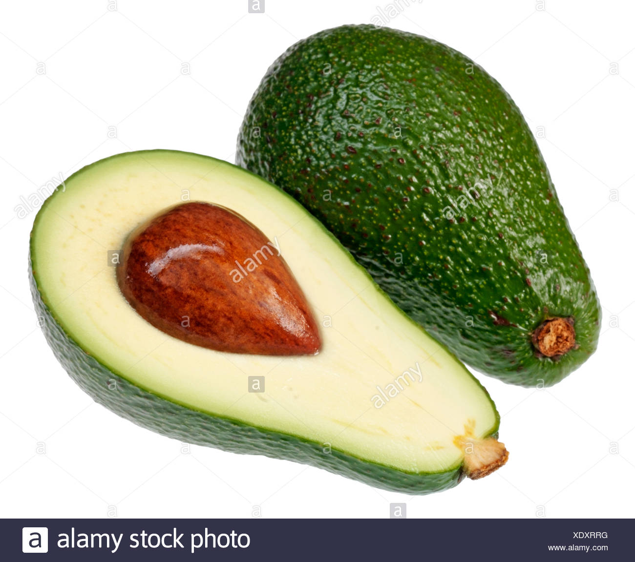 Fuerte Avocado Stock Photos & Fuerte Avocado Stock Images - Alamy