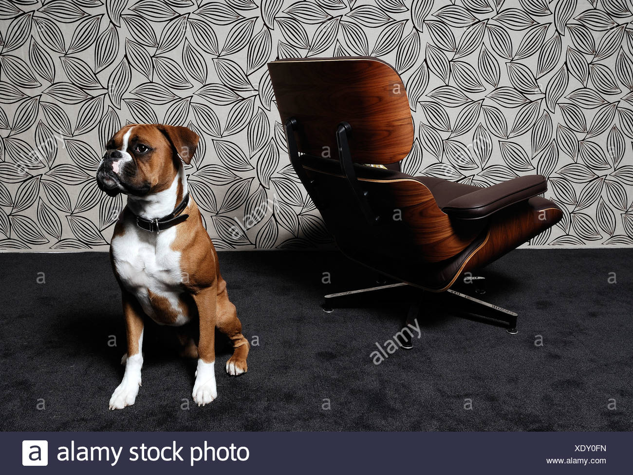 Retro Seating High Resolution Stock Photography and Images - Alamy