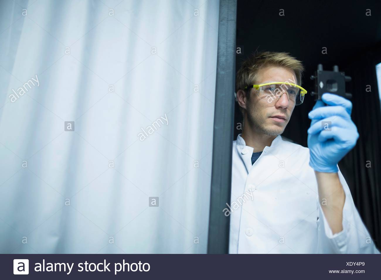 Male Specimen High Resolution Stock Photography and Images - Alamy