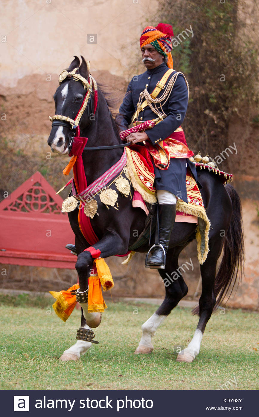Marwari Horse Rider High Resolution Stock Photography and Images - Alamy