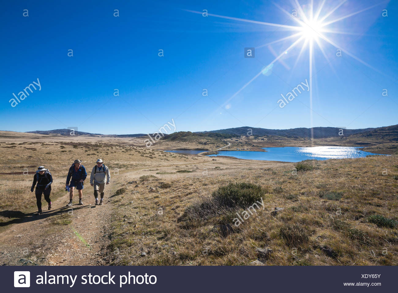 Australian Alpine High Resolution Stock Photography and Images - Alamy