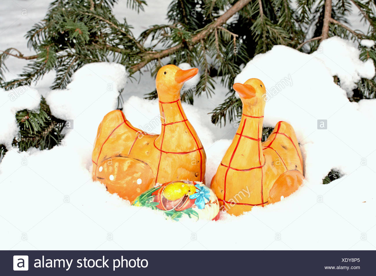 Snow Goose Egg High Resolution Stock Photography and Images - Alamy