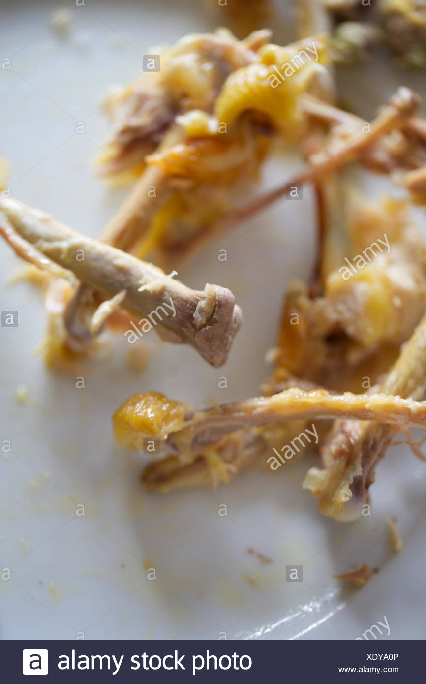 Chicken Bones High Resolution Stock Photography and Images - Alamy