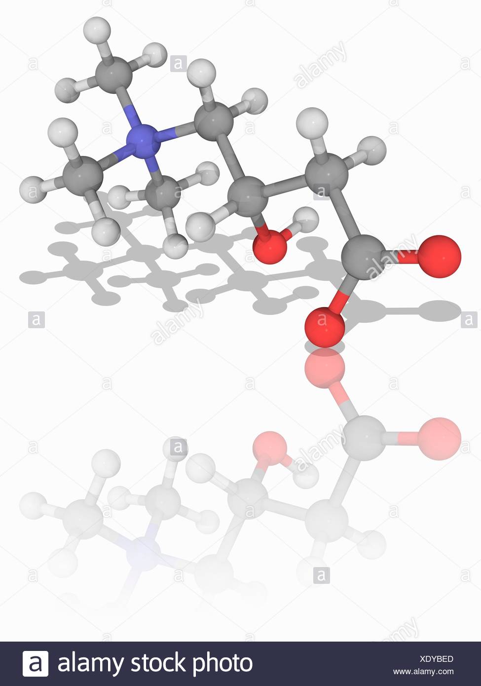 Carnitine Molecule Chemical Structure High Resolution Stock Photography ...